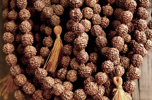 Ananda in the Himalayas | Programa Stress Management Ayurveda en India